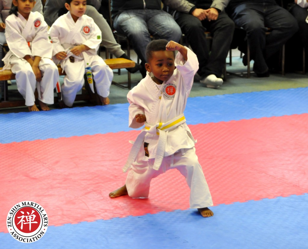 _DSC0179 copy - Zen-Shin Martial Arts Academy Birmingham